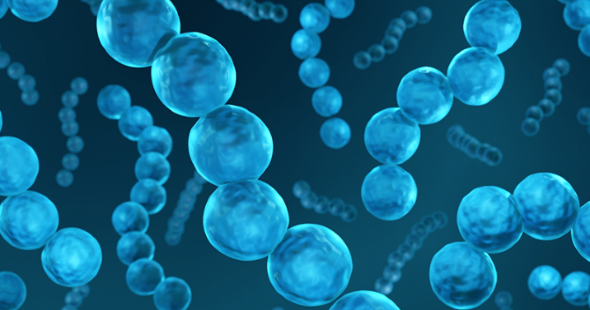 Λαμβλίαση: Η λοίμωξη που «χτυπάει» χιλιάδες ανθρώπους στην Ελλάδα - Τα συμπτώματα | Alfavita